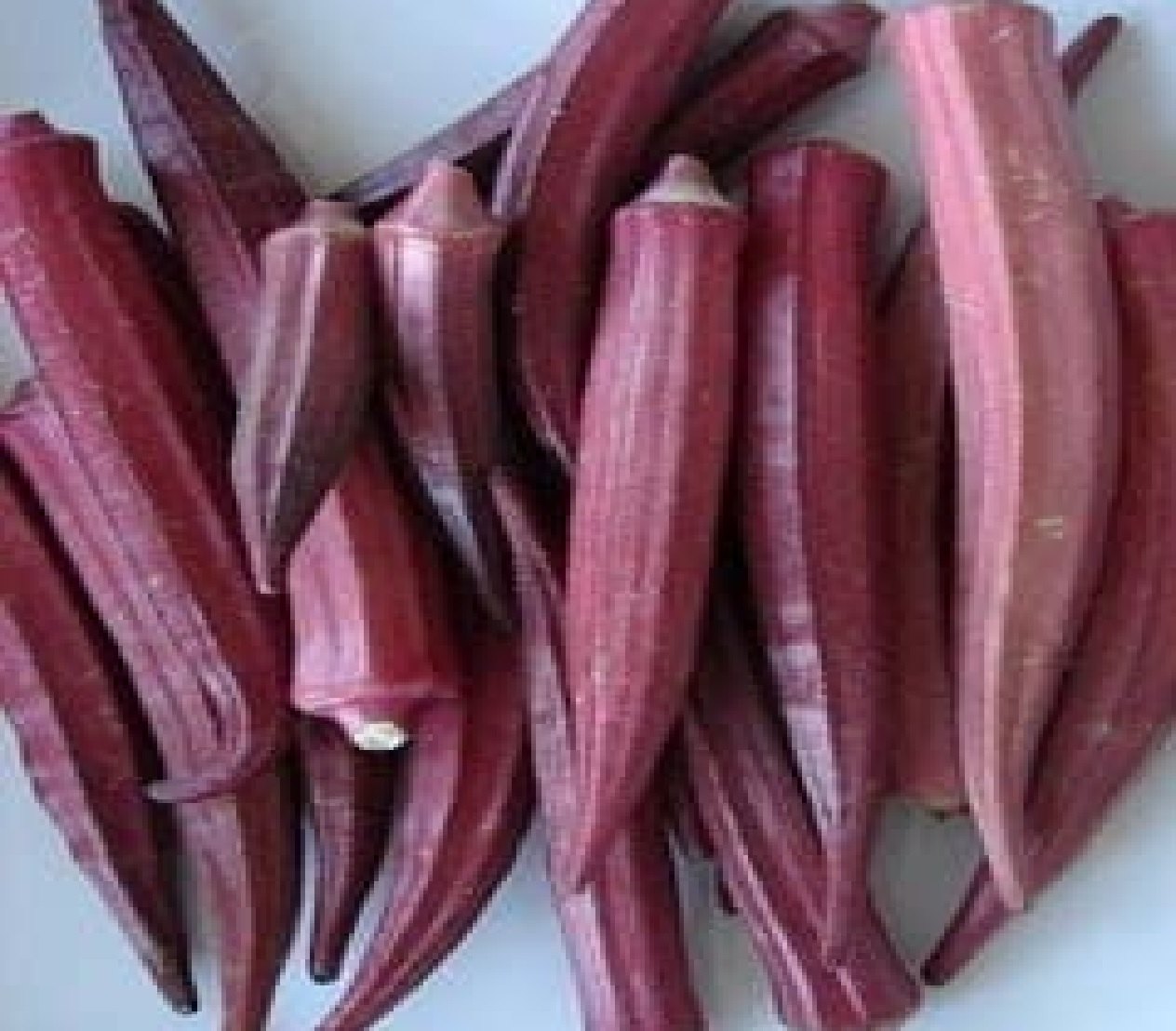 Vegetable Seeds | Botanika